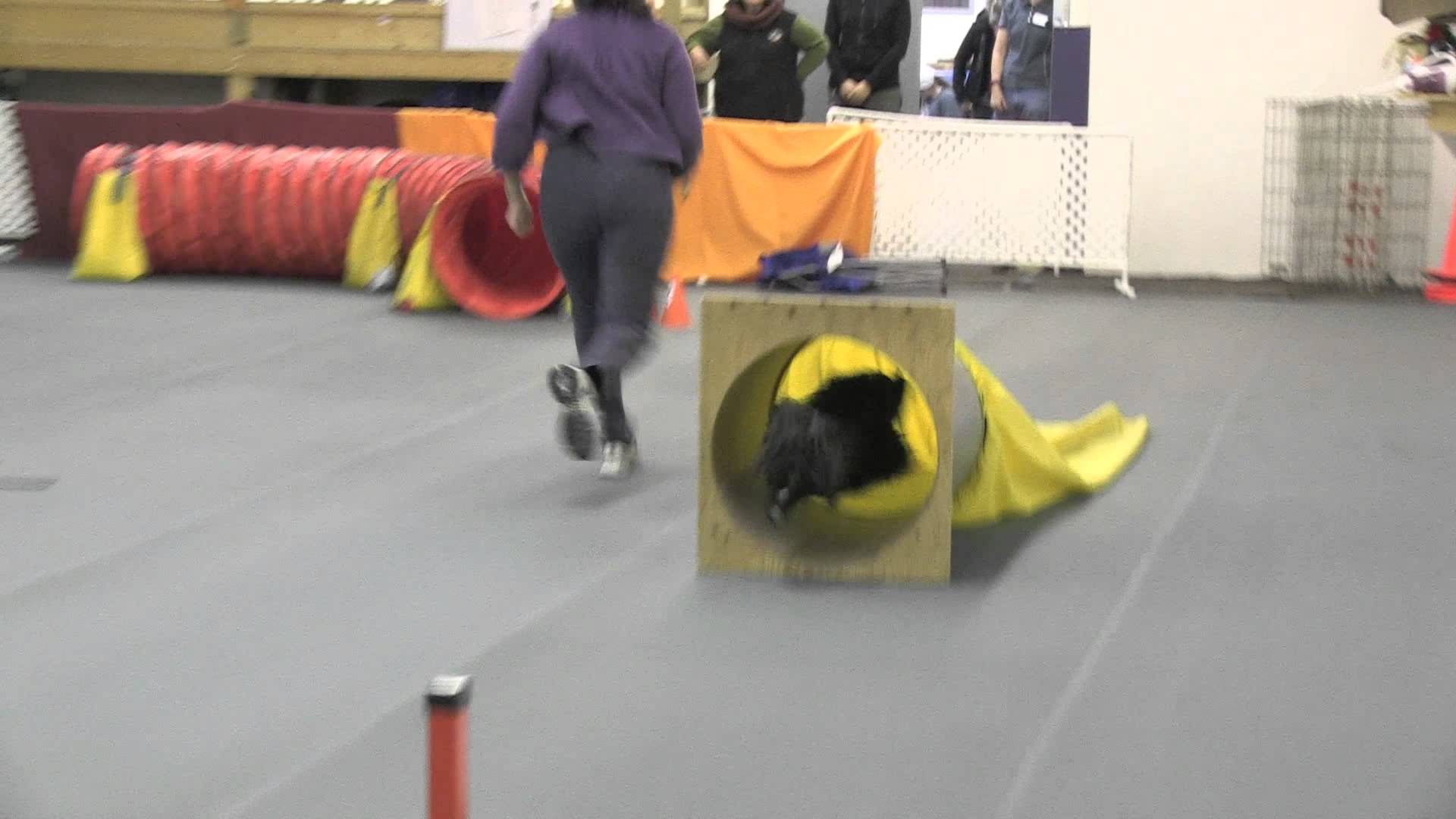 Java - Talent Hounds