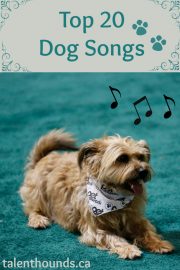20 Top Songs About Dogs - Talent Hounds