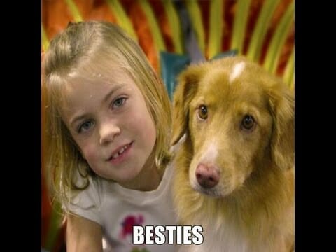 7 Top Dog Songs for Valentine's Day - Talent Hounds