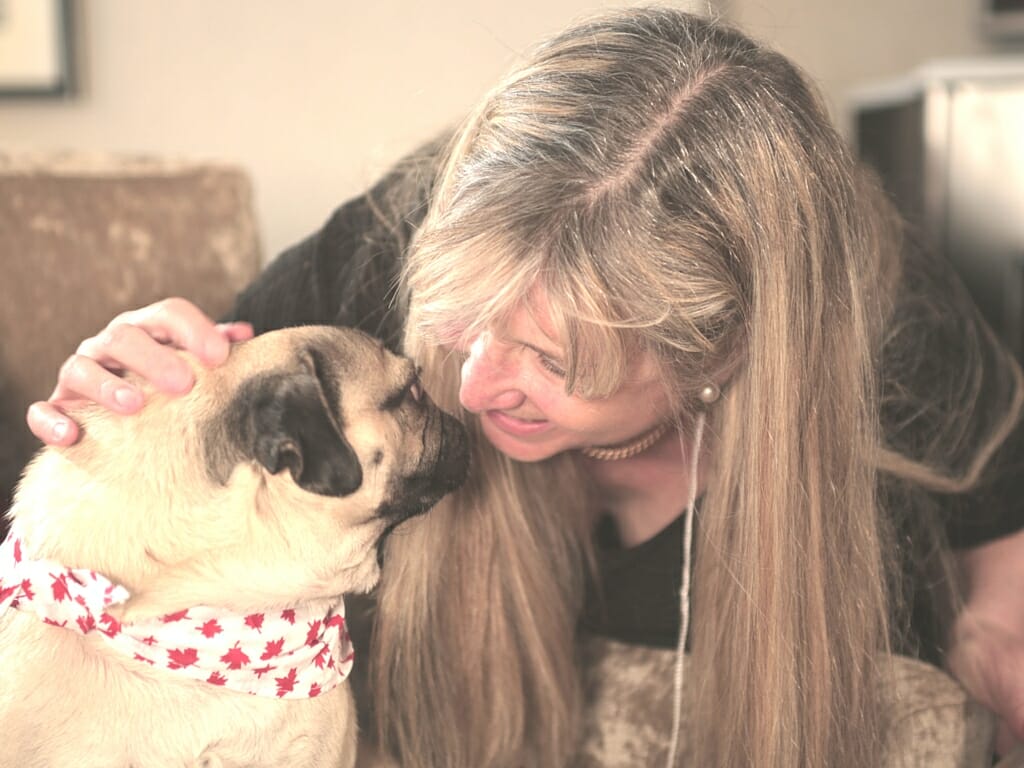 Exclusive Interview With Doug The Pug - King of Pop Culture. - Talent ...