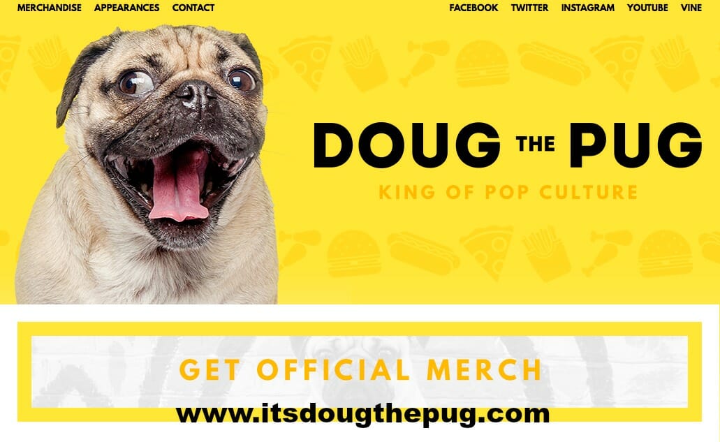 Exclusive Interview With Doug The Pug - King of Pop Culture. - Talent ...