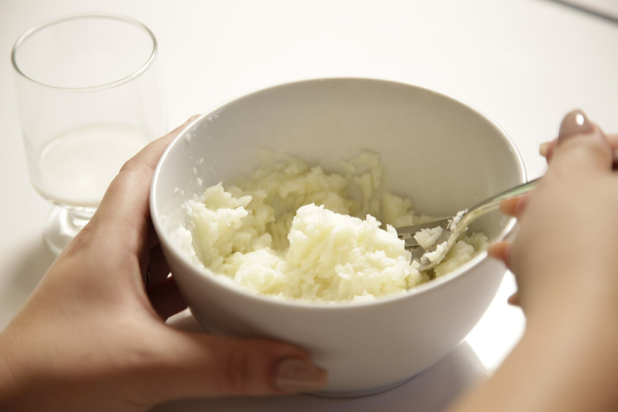 How to Make Mashed Potato Labradoodles - Talent Hounds