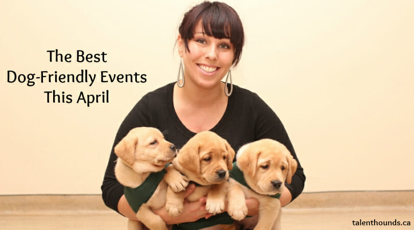 Enjoy the best dog-friendly events this April