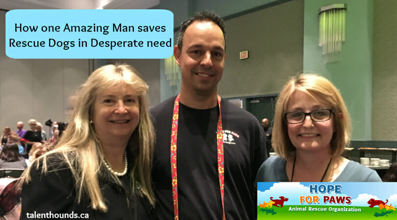 Help the amazing team at Hope For Paws save rescue dogs in need