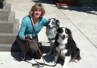 Author Sheri Levy explores our amazing bond with animals in first novels.