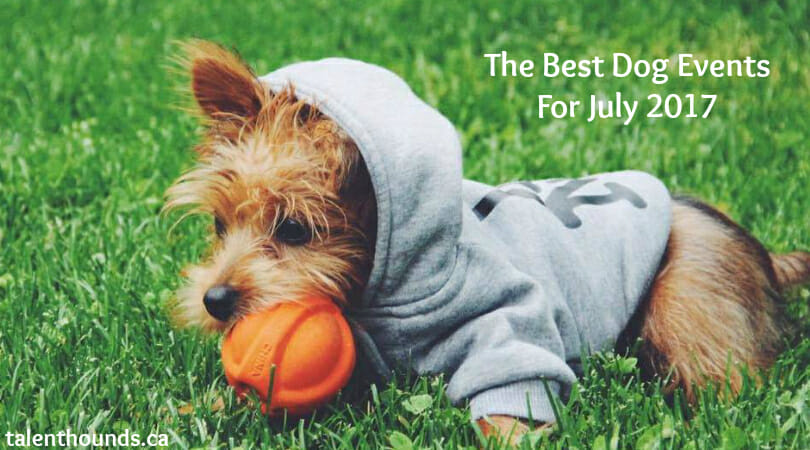 The Best Dog Events For July 2017 - Talent Hounds