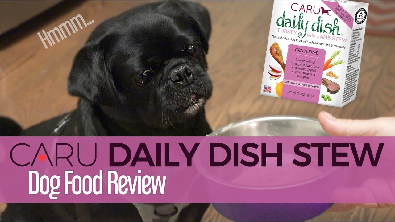 Do you know what Kilo the Pug liked best about Caru Stew - Talent Hounds
