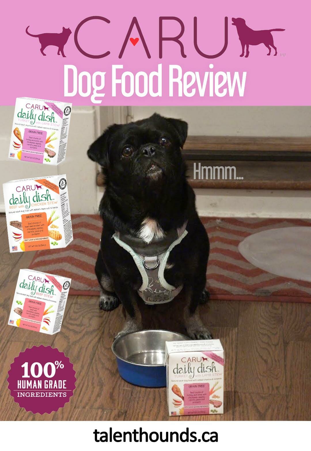 Do you know what Kilo the Pug liked best about Caru Stew - Talent Hounds