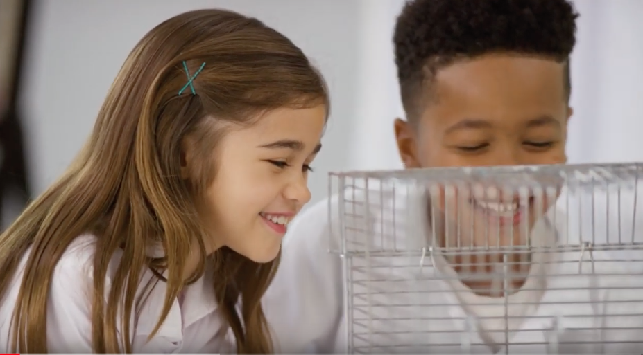 Pets In The Classroom Study Findings Confirm Program Benefits for Kids ...