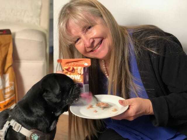 New Petcurean NOW Fresh Stews Product Review - Talent Hounds