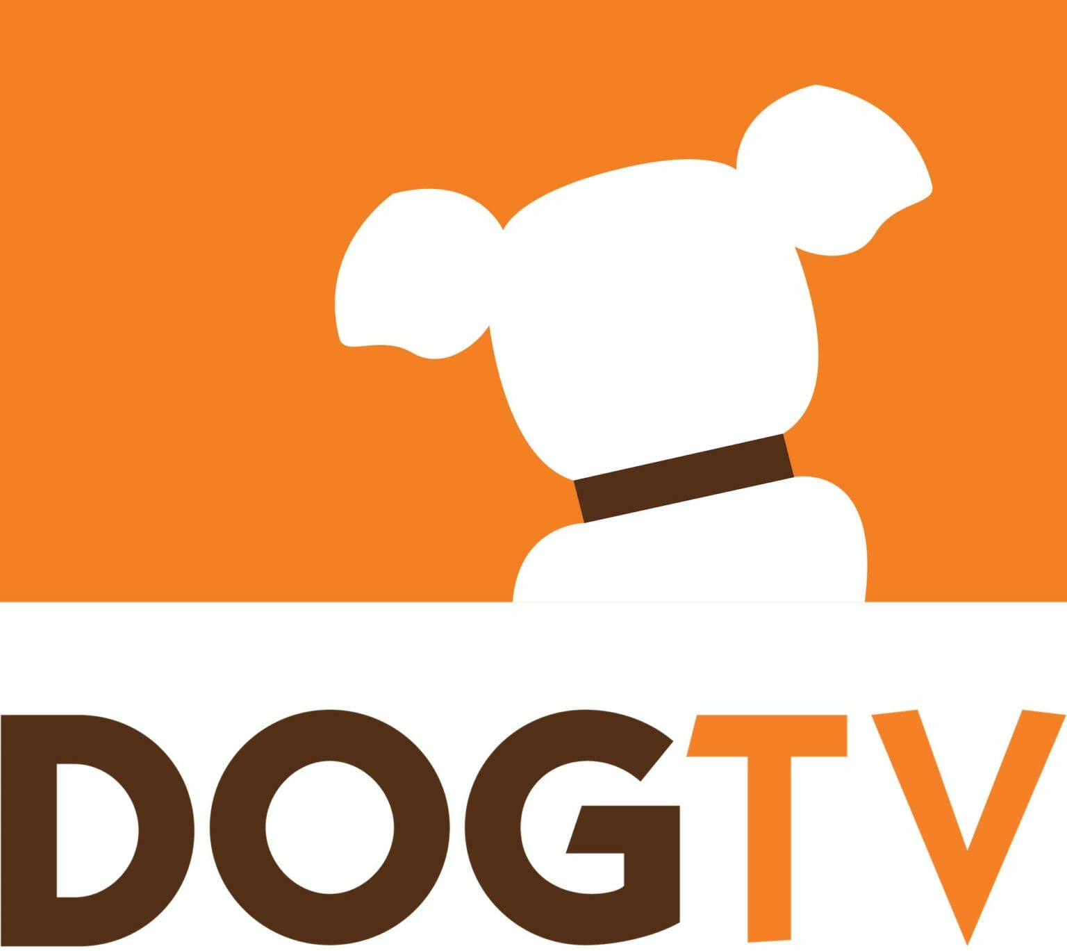 DOGTV Launches Programs on YouTube - Talent Hounds